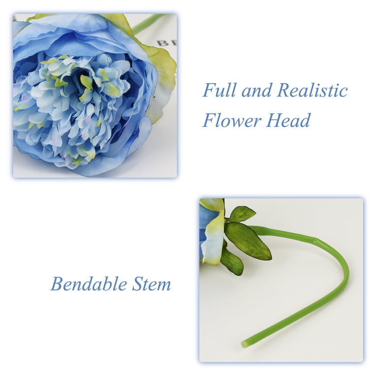 Peony Blue Color Clothing