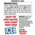 ICEE Zero Calorie Liquid Water Enhancer Flavor Drops - 1.62 Fluid ...
