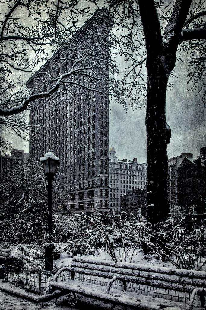 Madison Square Park In the Snow by Chris Lord Photo Photograph Cool ...