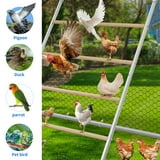 Dextrus Chicken Perch Set for Hens Perch Stand, Essential Perching ...