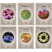 Deluxe Flower Garden Seed Variety Pack – 30 Seed Packets | Sunflower ...