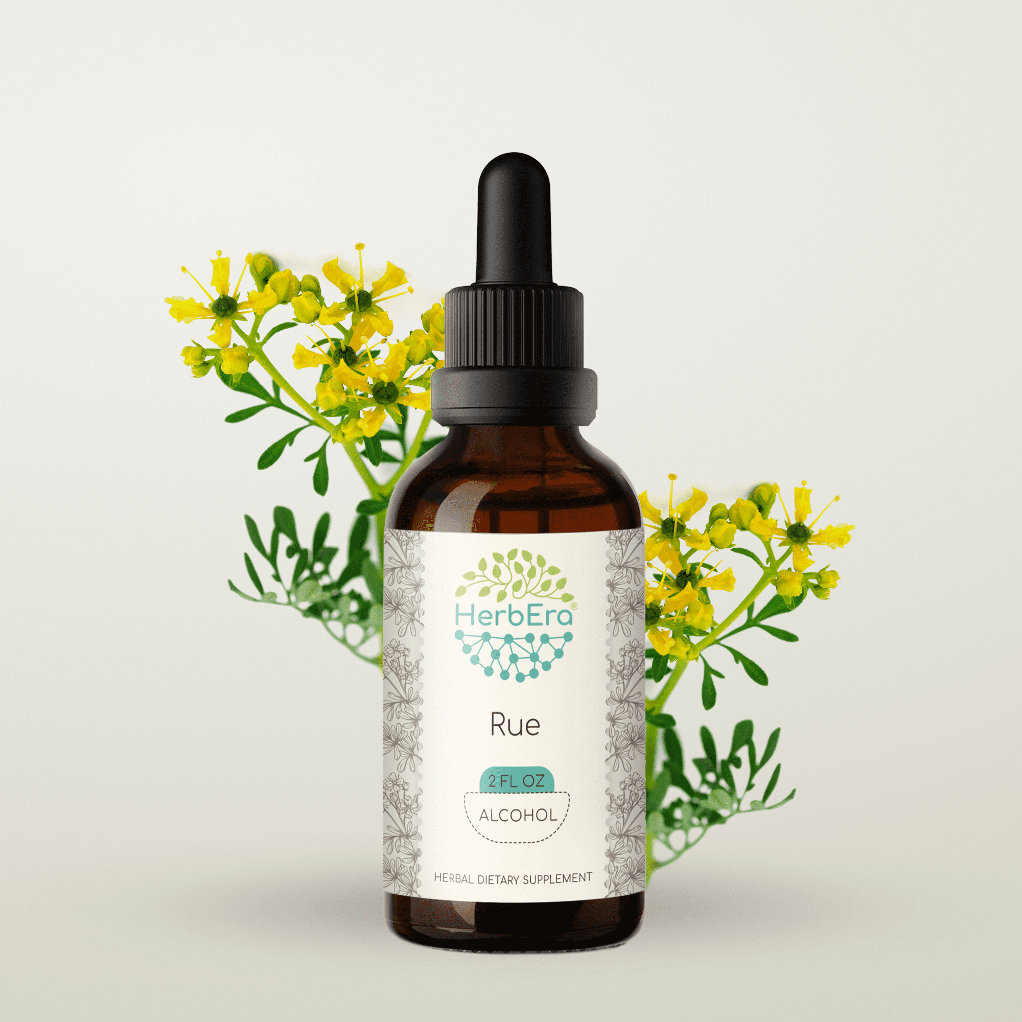Rue Alcohol Herbal Extract Tincture, Super-Concentrated Organic Rue ...