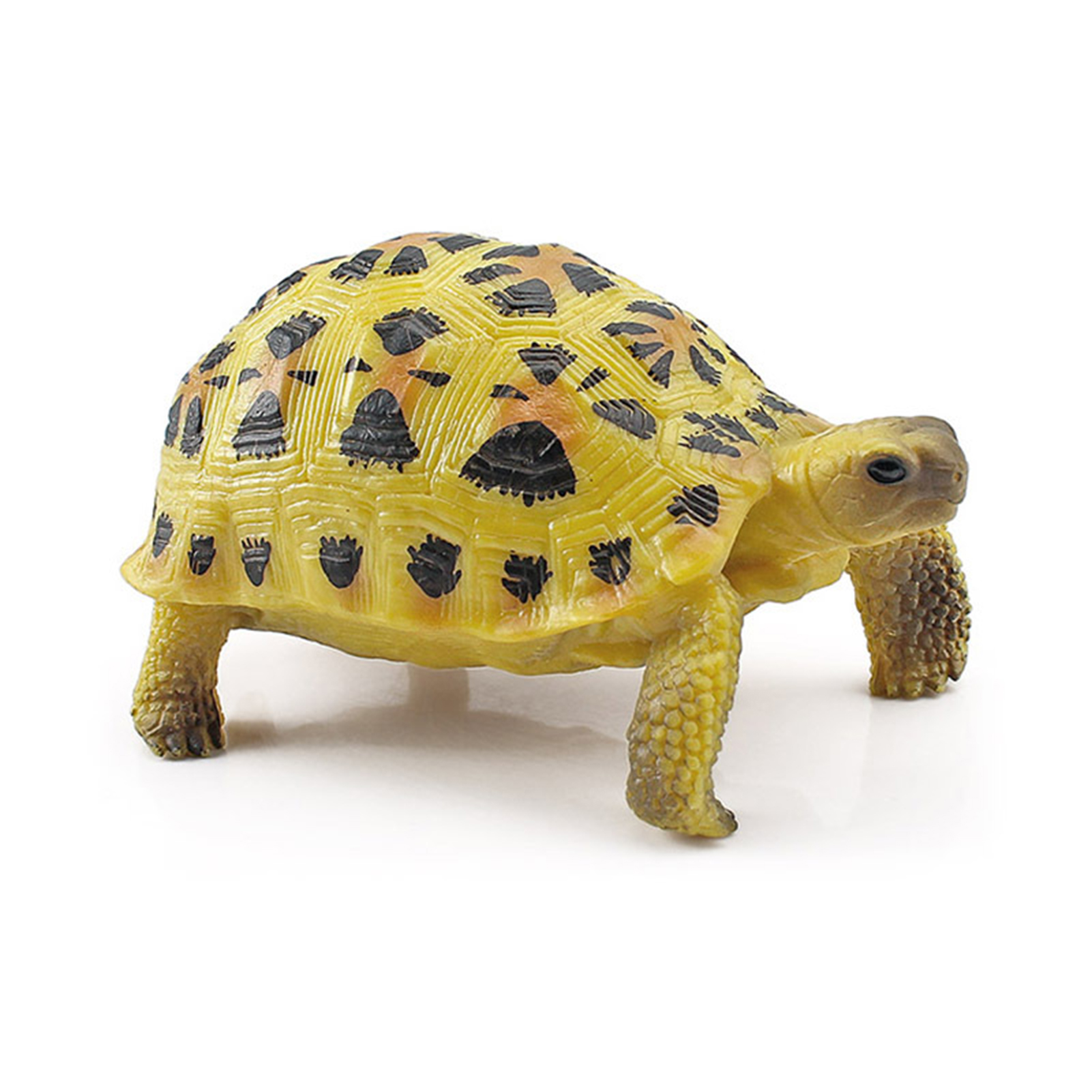 Sulcata Tortoise Mold Vivid Clear Texture 3D Effect Sea Ocean Life ...