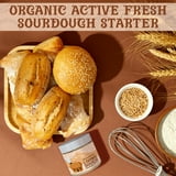 Living Dough Live Sourdough Starter Culture 233 Yr Old SF - Walmart.com