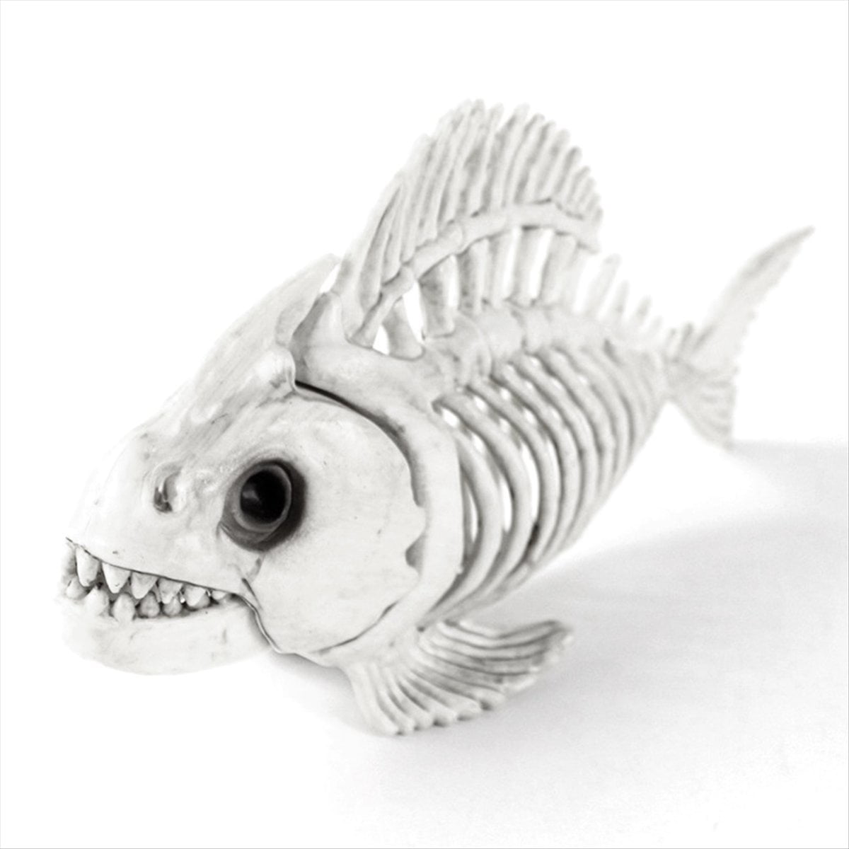 Click here for Unbranded Skeleton Fish Halloween Decor Model  Pla... prices