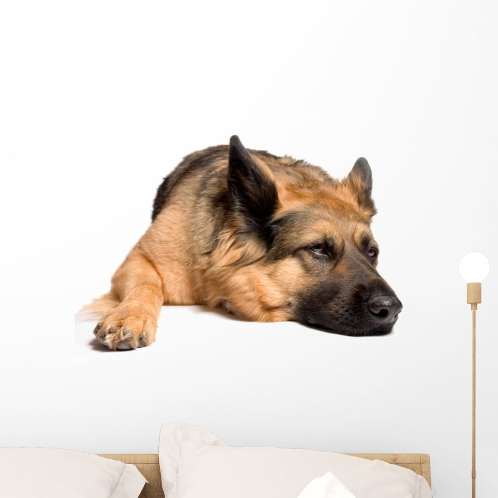 German Shepherd Wall Mural by Wallmonkeys Peel and Stick Graphic (24 in ...