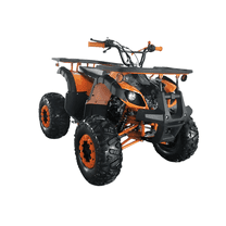 RPS Mini Desert 125CRT ATV, 125cc, Automatic with Reverse, Disc Brakes ...