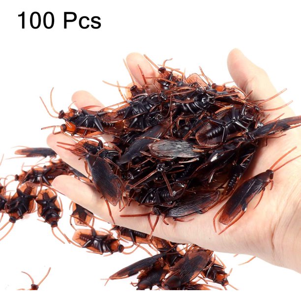 Tuydeen Fake cockroach plastic realistic insects, 100 decorations ...