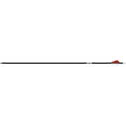 Beman Arrows and Bows - Walmart.com