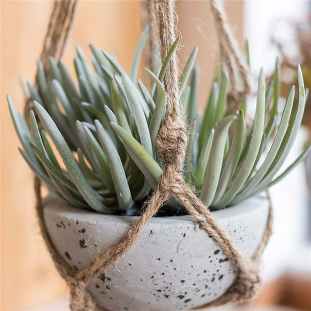 Plant Pot Holder Macrame Plant Hangers Planter Hanging Basket Jute Rope ...