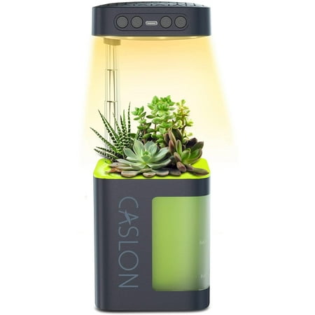 Mini Hydroponics Growing System with LED Grow Light ,Indoor Garden ...