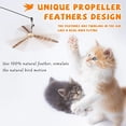 Cat Wand Toys, Interactive Cat Toys with 3 Feather Refills, 29 ...