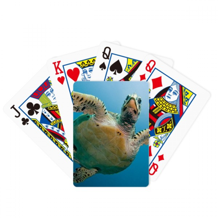 Ocean Blue Water Turtle Science Nature Picture Poker Playing Magic Card ...