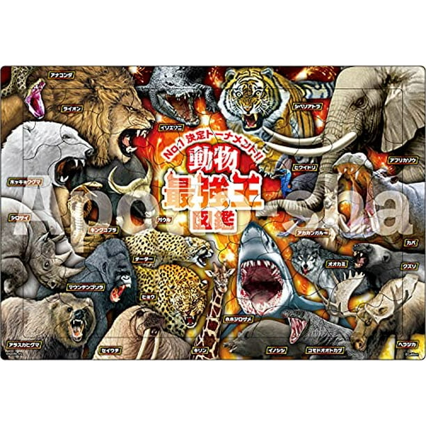 [Apollo Picture Puzzle] Animal Strongest King Encyclopedia 75 Piece ...