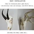 European Deer Skull Mount Hanger Euro Wall Mount Skull Hanger for ...