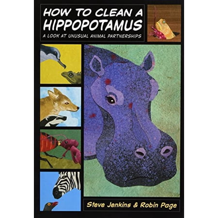 How to Clean a Hippopotamus: A Look at Unusual Animal Partnerships ...
