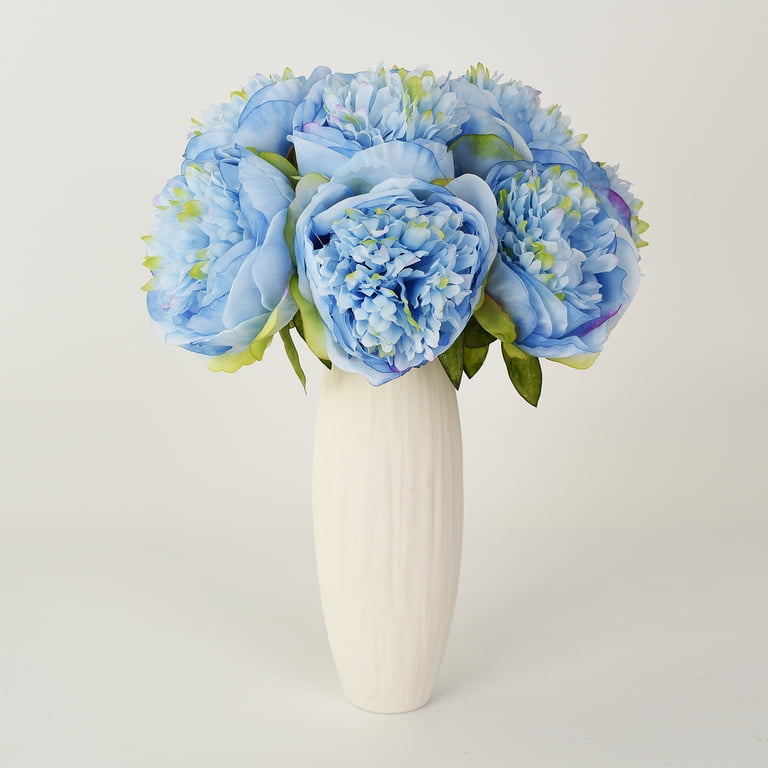 Peony Blue Color Clothing
