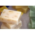 Bio-Safe One, Inc - Lemon Grass Tea Organic Soap Bar - 4 oz - Walmart.com