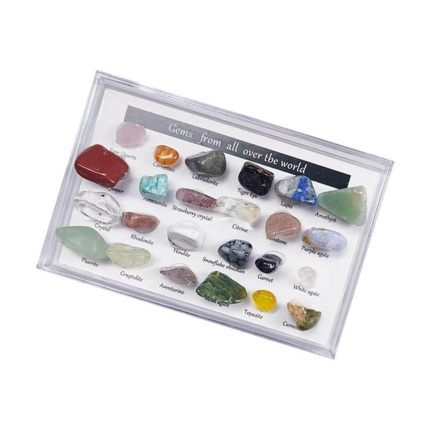 24 Pieces Rock and Mineral rock collection & Collection kit rock ...