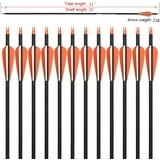 31 Inch Carbon Hunting Arrows, Spine 400, Removable Tips, for Archery ...
