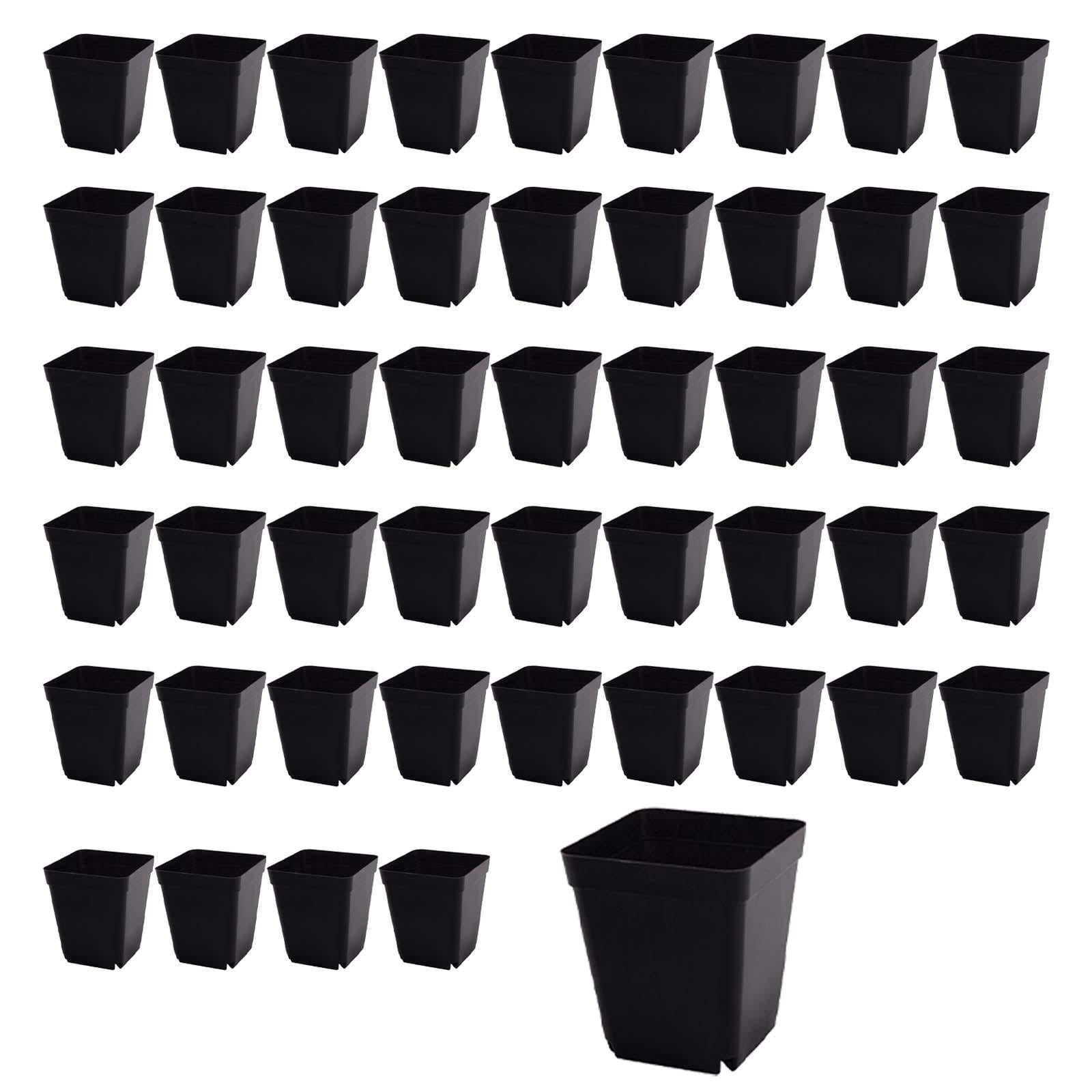 Click here for Colaxi 50x Seedling Nursery Transplanting Planter... prices