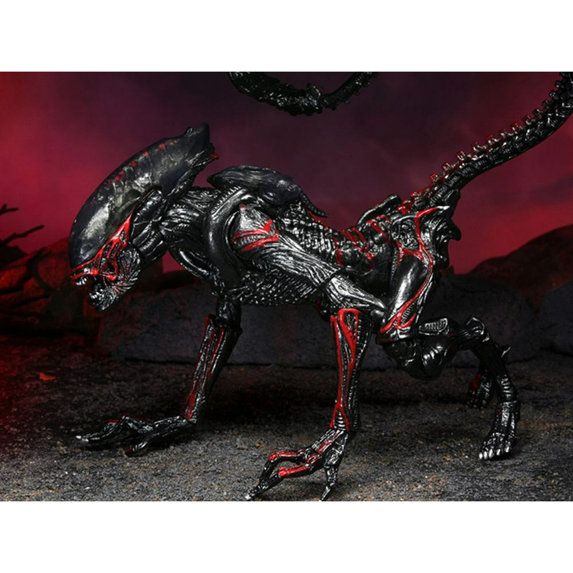 Click here for Neca Night Cougar Alien prices