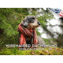 2025 2026 Pitbull Calendar - Staffordshire Bull Terrier Dog Breed ...