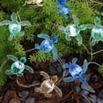 - Sea Turtle Decorative Lights- Ocean Themed String Lights -10ft 30 ...