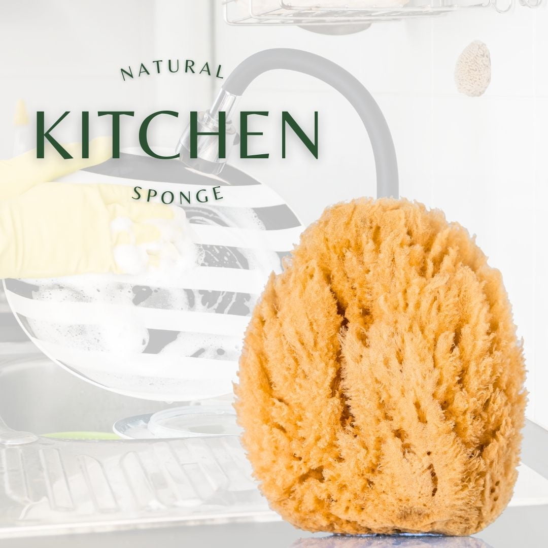 Natural Caribbean Grass Kitchen Sponge - Eco-Friendly, Biodegradable ...