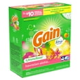 Gain Powder Laundry Detergent for Regular and HE Washers, Hawaiian ...