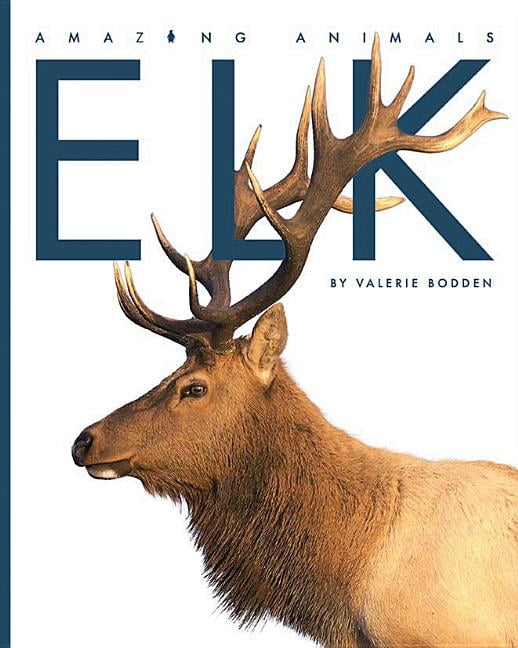 Amazing Animals: Elk (Paperback) - Walmart.com