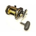 Daiwa Sealine-X SHA High Speed Fishing Casting Line Saltwater Reel, 6.1 ...