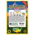 Everwilde Farms 40 Jubilee Watermelon Plant Seeds, Heirloom - Walmart.com