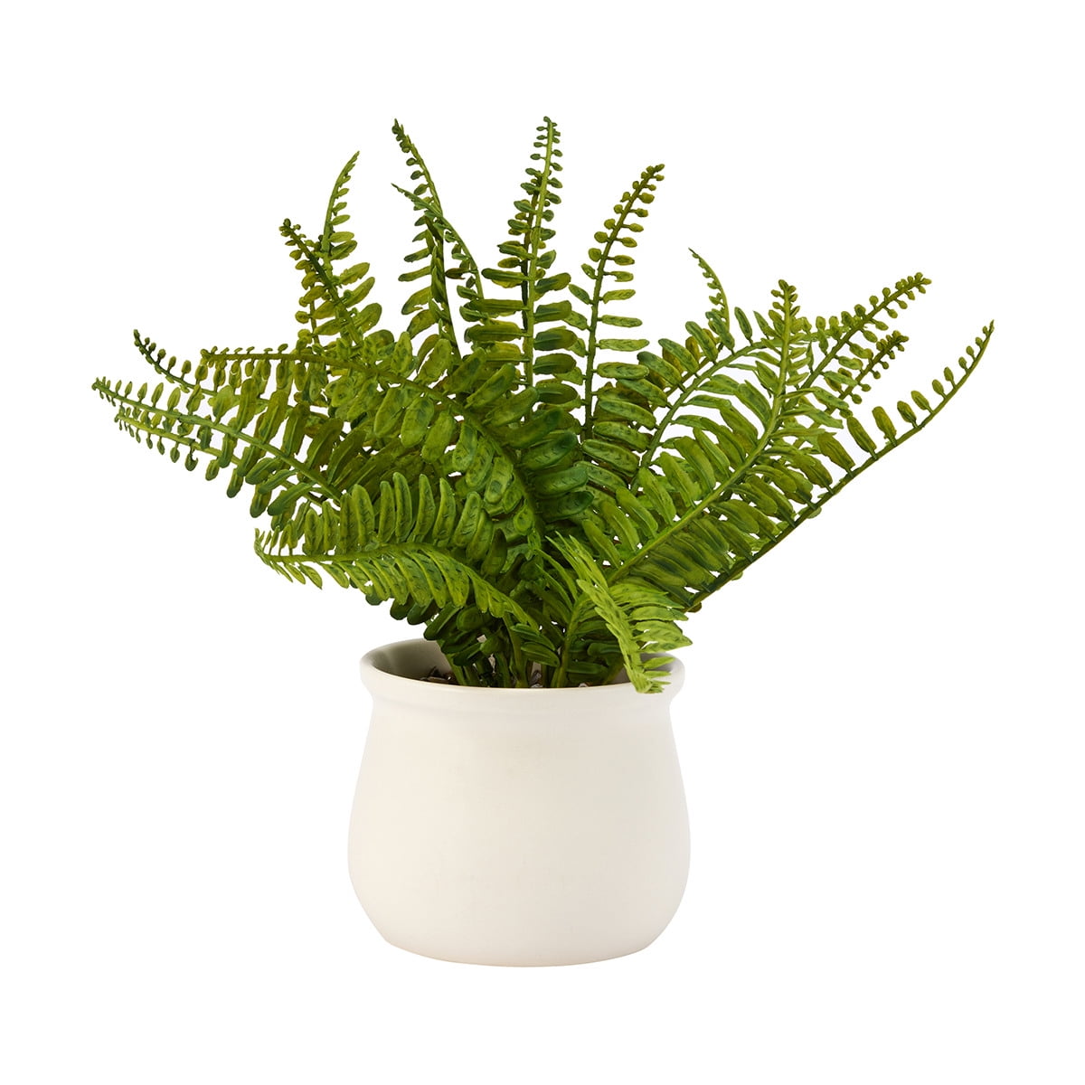 Click here for Anko Artificial Fern In Pot prices
