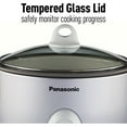 Panasonic 10-Cup Rice Cooker/Steamer with Glass Lid in Silver - Walmart.com