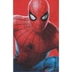 Spider-Man 'Far From Home' Paper Table Cover (1ct) - Walmart.com