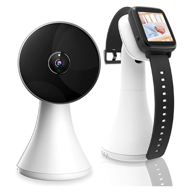 Portable Video Monitor