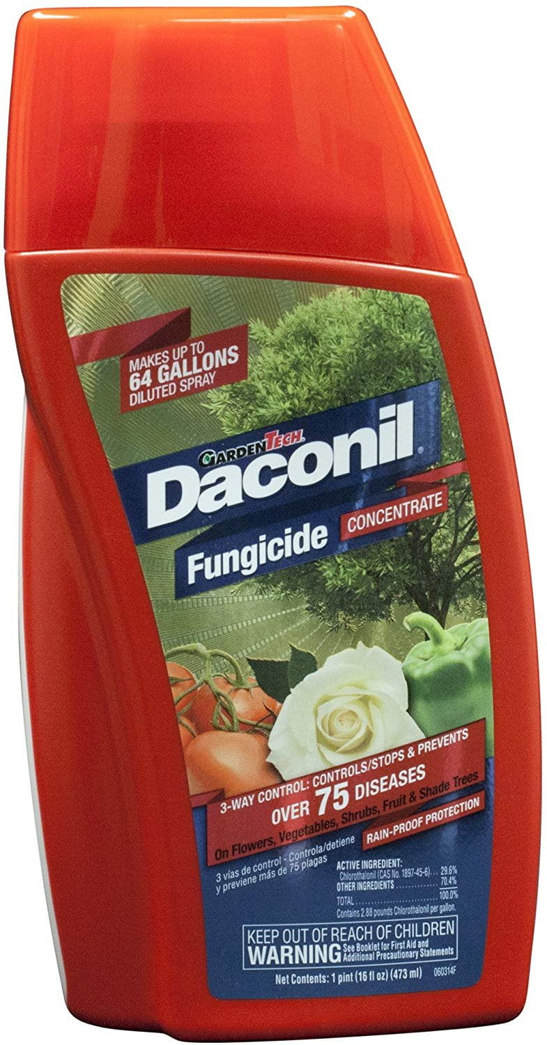 Gulfstream Gardentech Daconil Fungicide Concentrate - Walmart.com