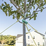 Expert Gardener Tree Stake Kit with Stakes, Vinyl Rope and Protective ...