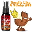 Liquid Assets Novelties Extra Strong Stinky Prank Spray - Foul Gas ...