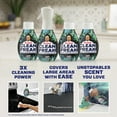 Mr. Clean Multi Surface Cleaning Spray Deep Cleaning Mist Starter Kit ...