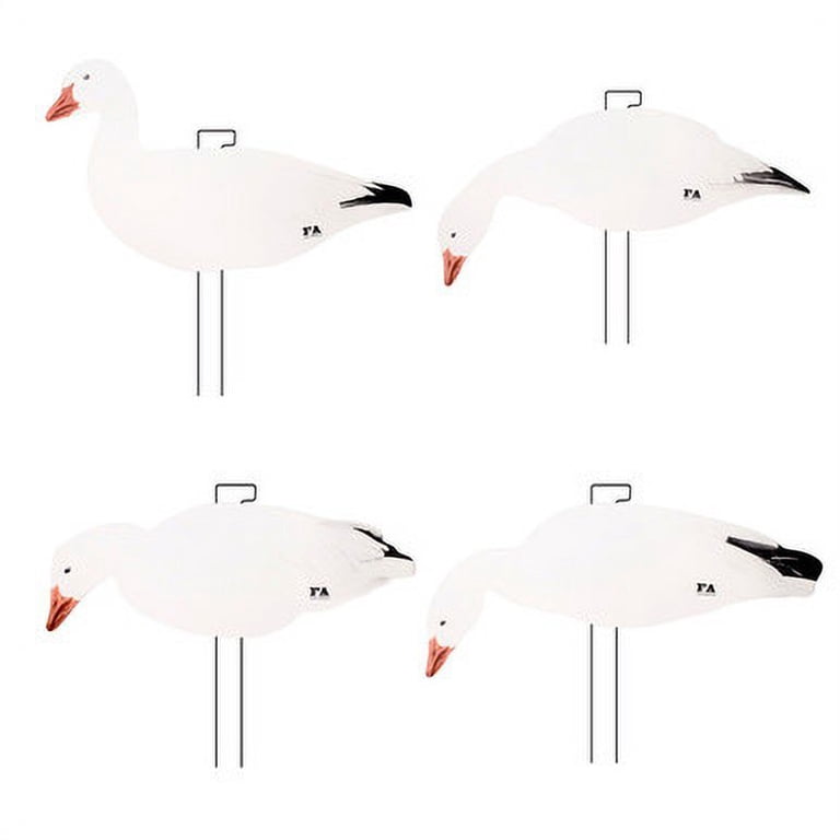 Snow Goose Silhouette