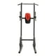 Weider Power Tower with Four Workout Stations and 300 lb. User Capacity ...
