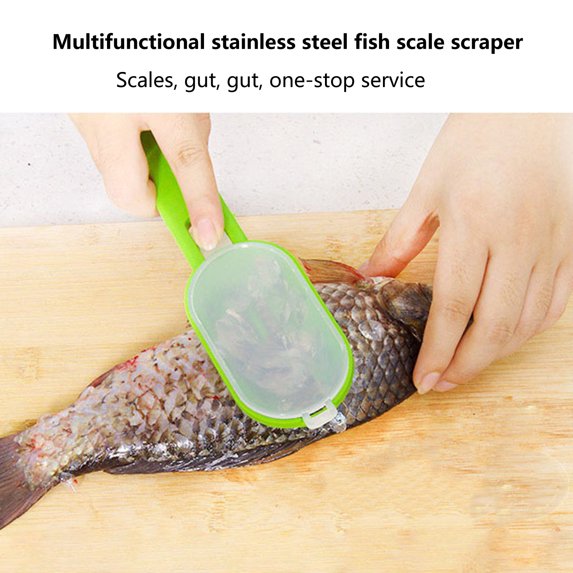Dream Lifestyle Fish Scaler Brush, Plastic Fish Scaler Remover with ...