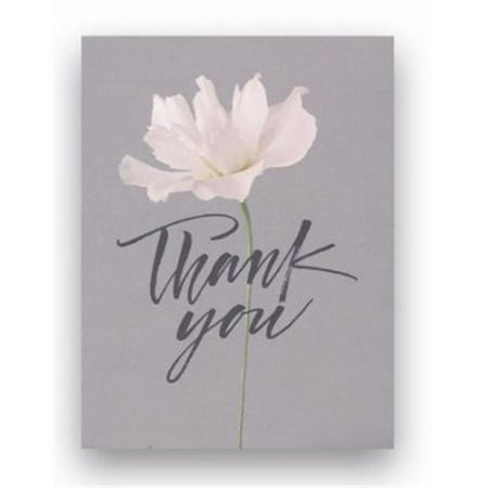 Dayspring Cards 151482 Thank You Note Card - Rose & Gray, Pack of 10 ...