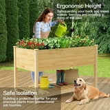 Kullavik Elevated Cedar Wood Raised Garden Bed with Storage Shelf ...