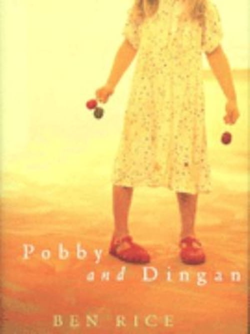 Pre-Owned Pobby and Dingan (Hardcover) 9780224061100 - Walmart.com