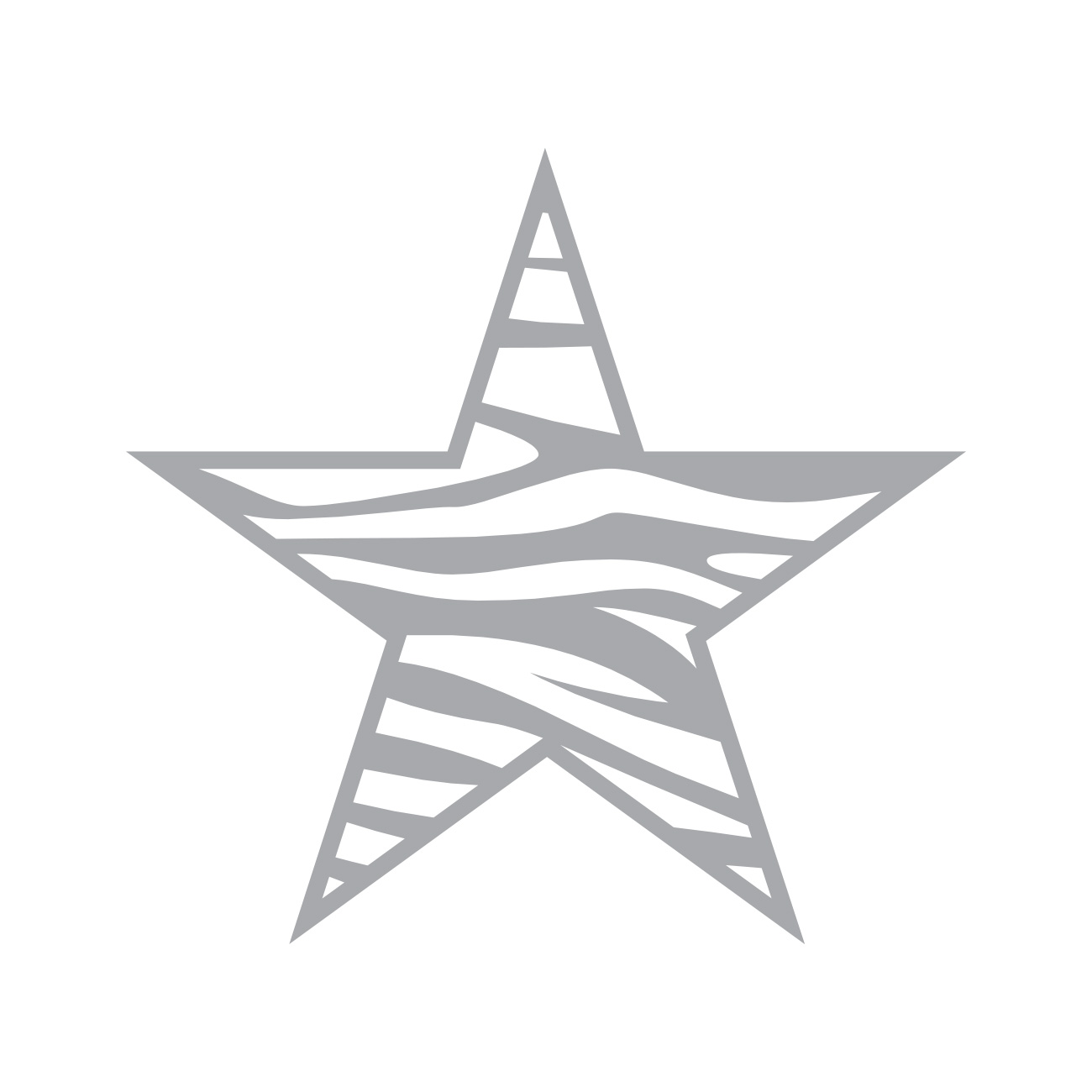 Zebra Print Star Sticker Decal Die Cut - Self Adhesive Vinyl ...