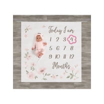 Modern Moments By Gerber Baby Girl Milestone Blanket & Frame Set, 2 ...