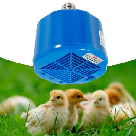 Warm Tools, Fire-resistant 100-300W Chicken Thermostat For Keep Warm ...
